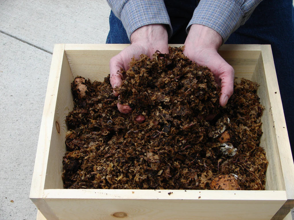 Worm Hive – Bee Happy Beekeeping
