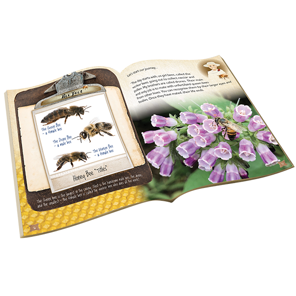 Bee Happy Bailee – Bee Happy Beekeeping