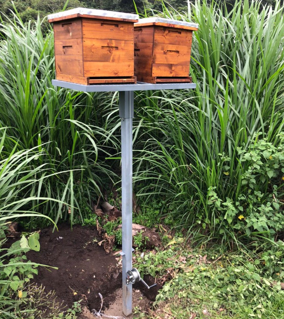 Hive Stand - elevated – Bee Happy Beekeeping